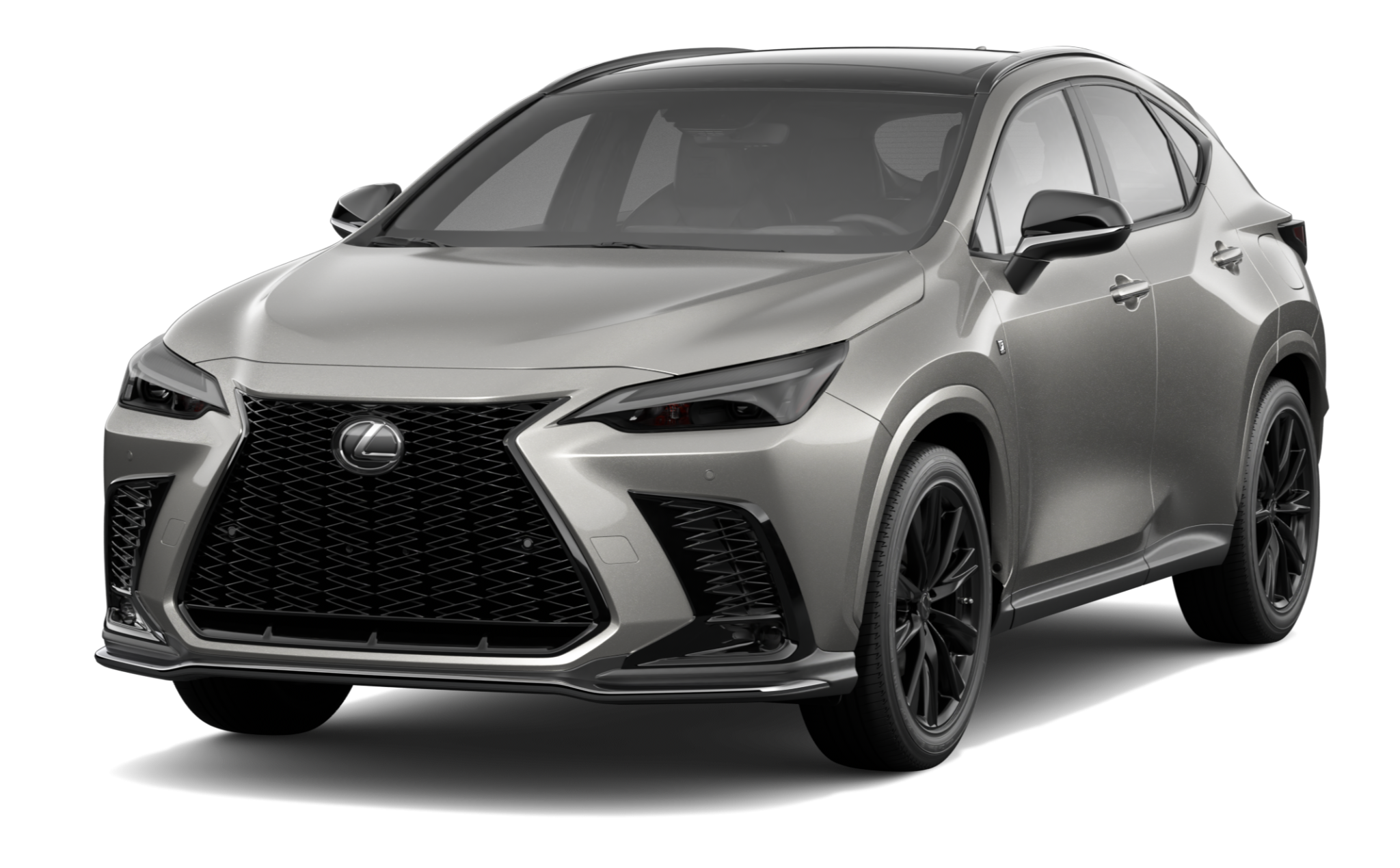 Lease End Options | Birchwood Lexus